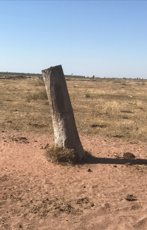 Survey reference tree found – DSQ